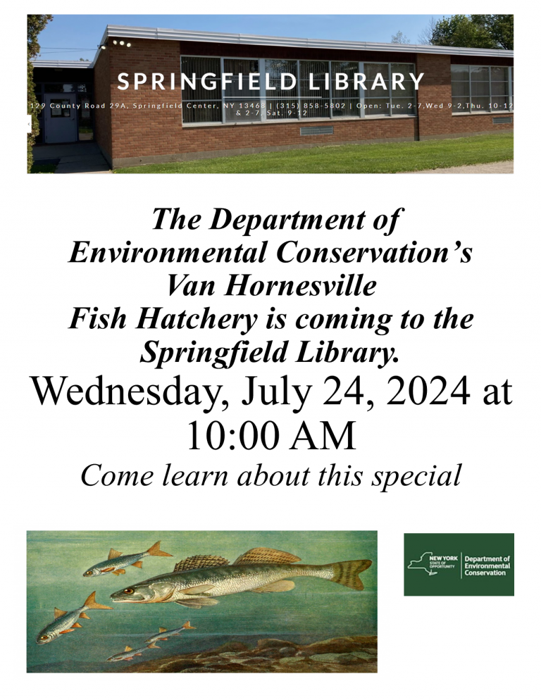 Springfield Library – 129 County Road 29A, Springfield Center, NY 13468 ...