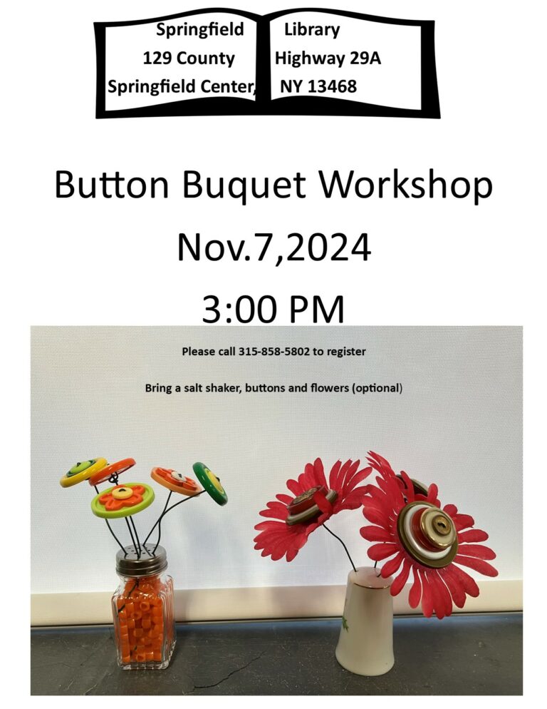 Springfield Library – 129 County Road 29A, Springfield Center, NY 13468 ...